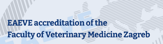 Veterinarski fakultet – Veterinarski fakultet