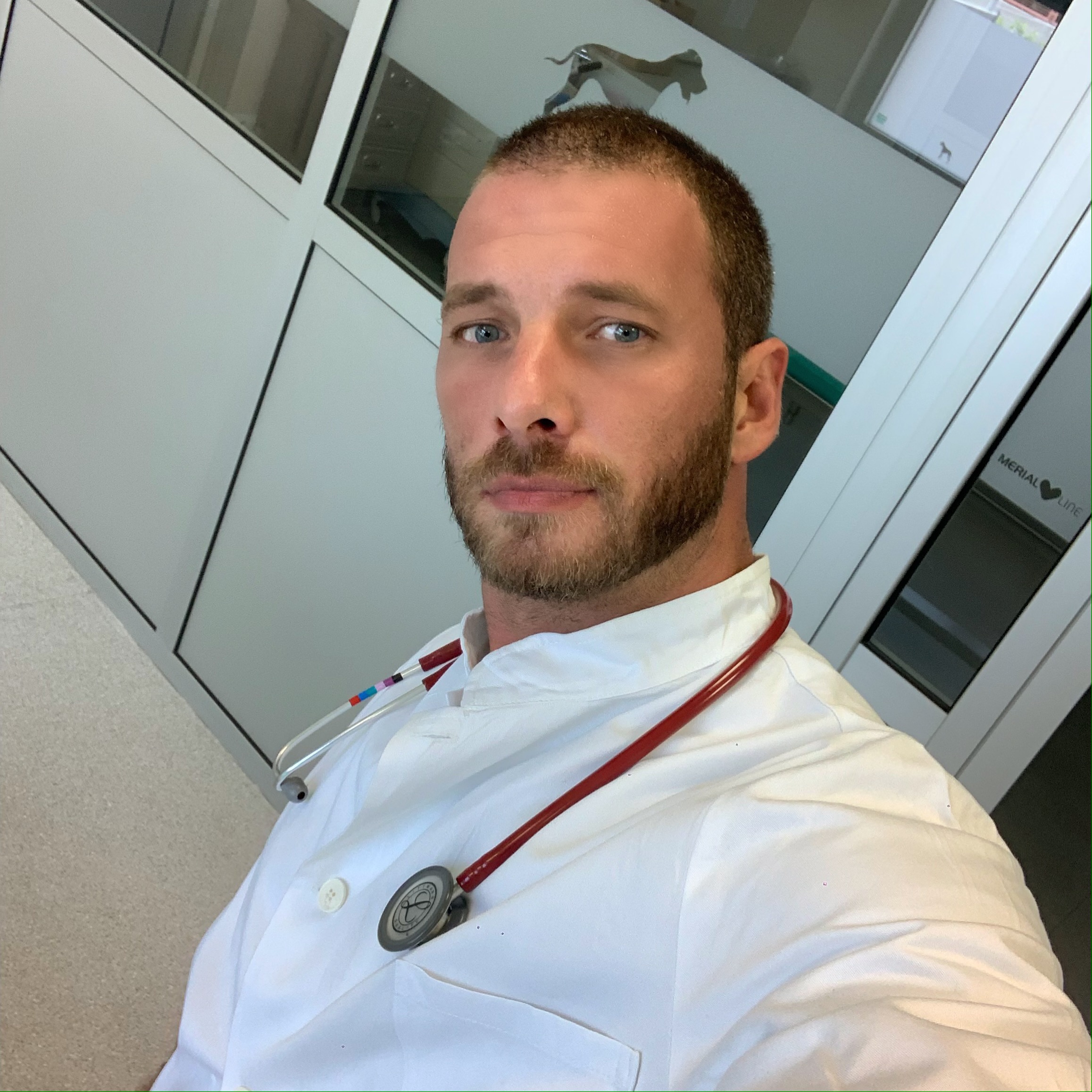 Razgovor s doc. dr. sc. V. Stevanovićem o koronavirusu i kućnim ...