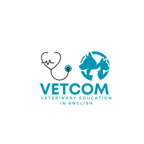 Veterinarski fakultet partner je na Erasmus+ projektu VETCOM ...